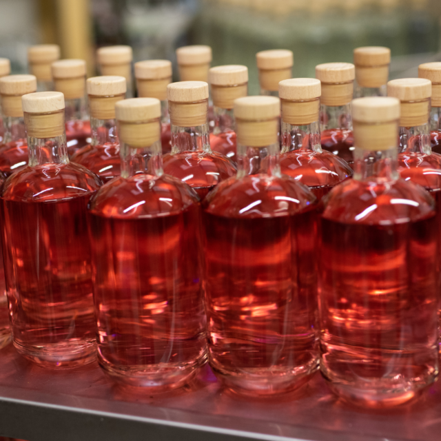 Troubleshooting Common Label Application Issues | Quadrel